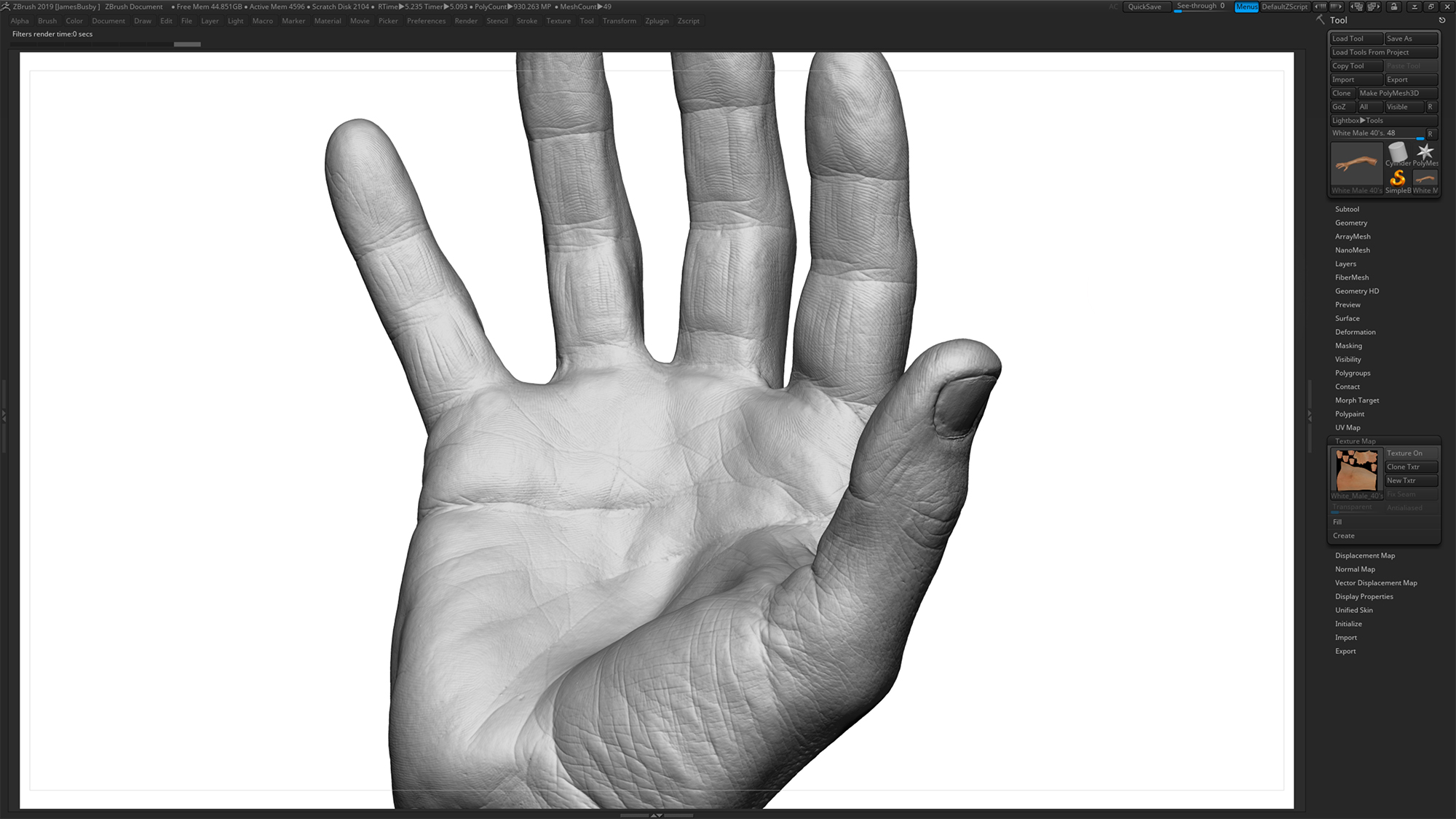 Male 3D Hand Model / White 40 Years Old