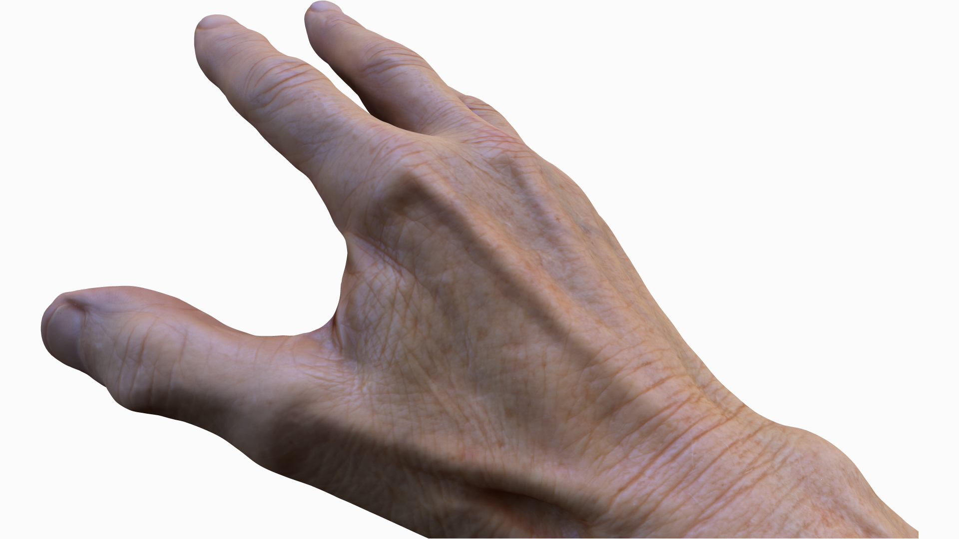 Male 3D Hand Model / White 60 Years Old