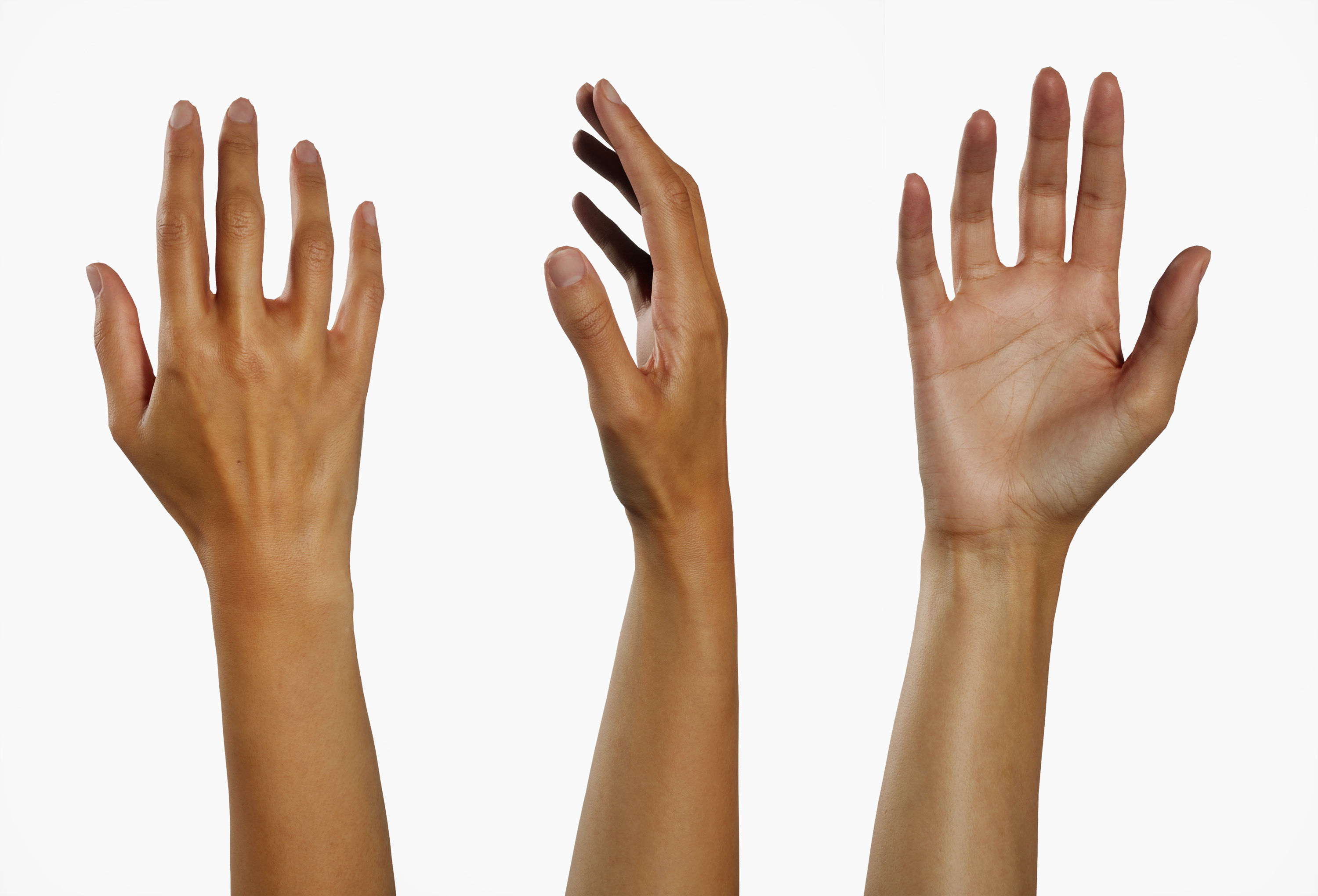 Rigged Photorealistic 3D Scanned Female Asian Hand Model - Ready to ...