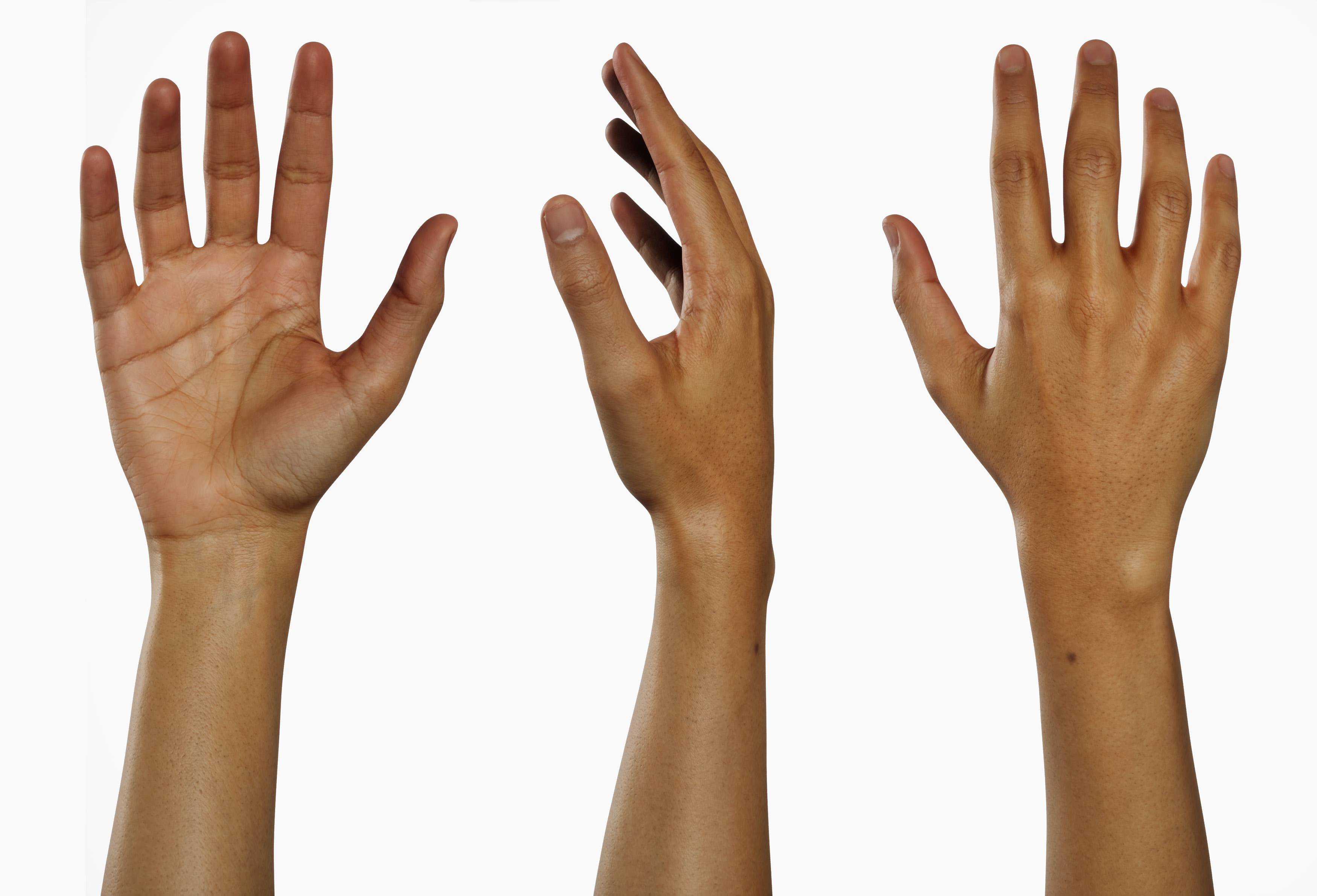 Rigged Photorealistic 3D Scanned Asian Male Hand Model - Ready to ...