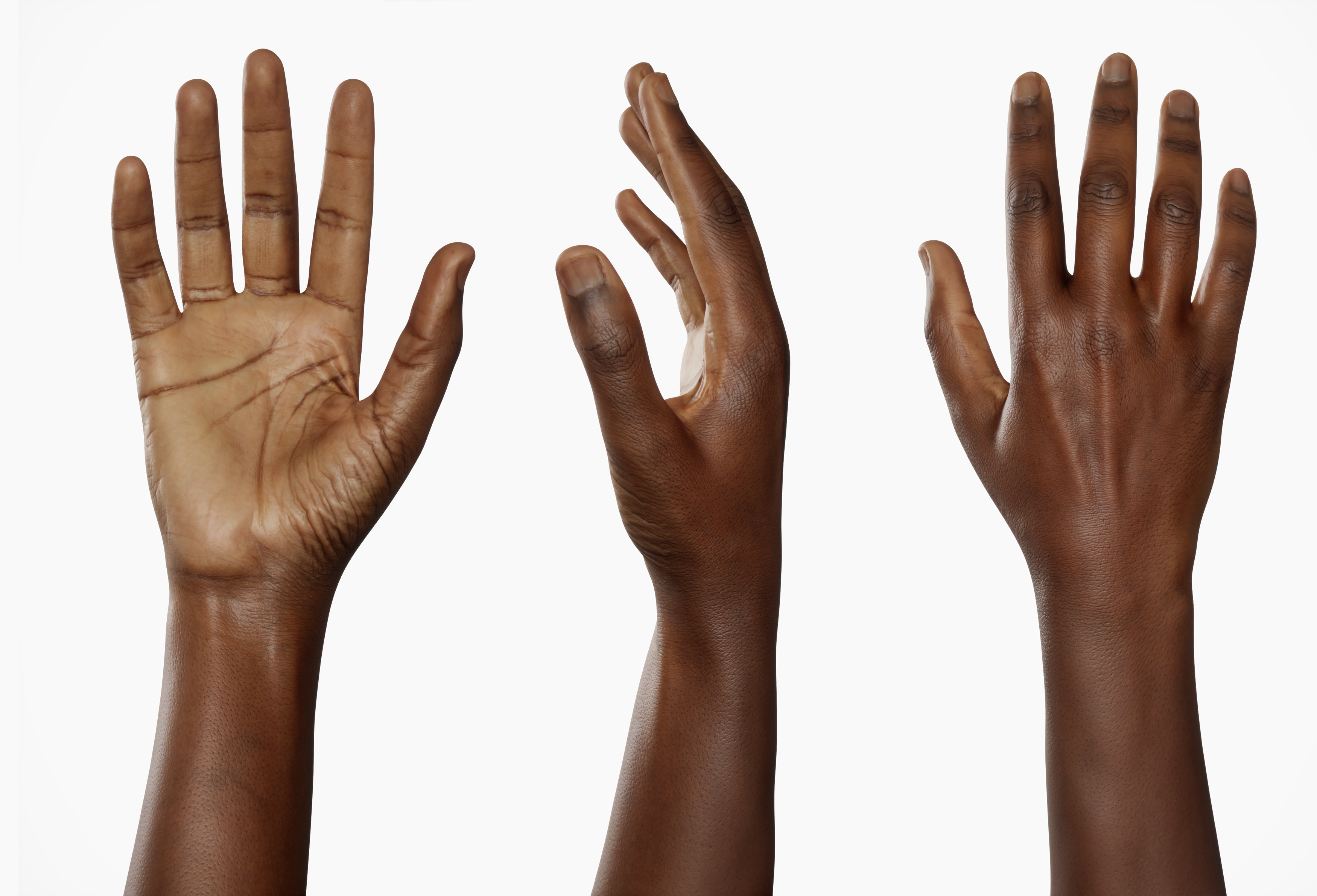 Rigged Photorealistic 3D Scanned Black Male Hand Model - Ready to ...
