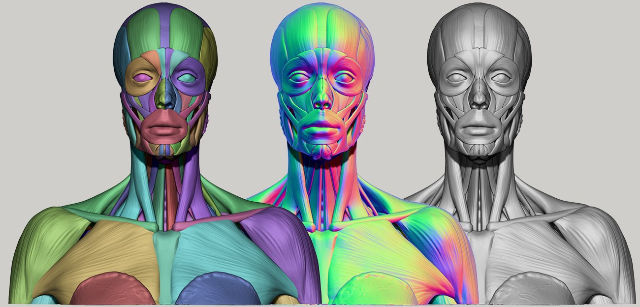 Female Multi Texture Base Mesh