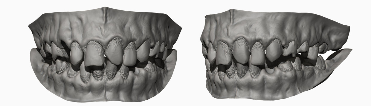 Realistic 3D Teeth with - Includes Blender, Marmoset, and ZTL Files