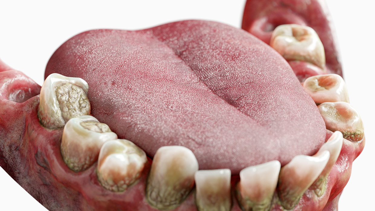 Realistic 3D Teeth with - Includes Blender, Marmoset, and ZTL Files