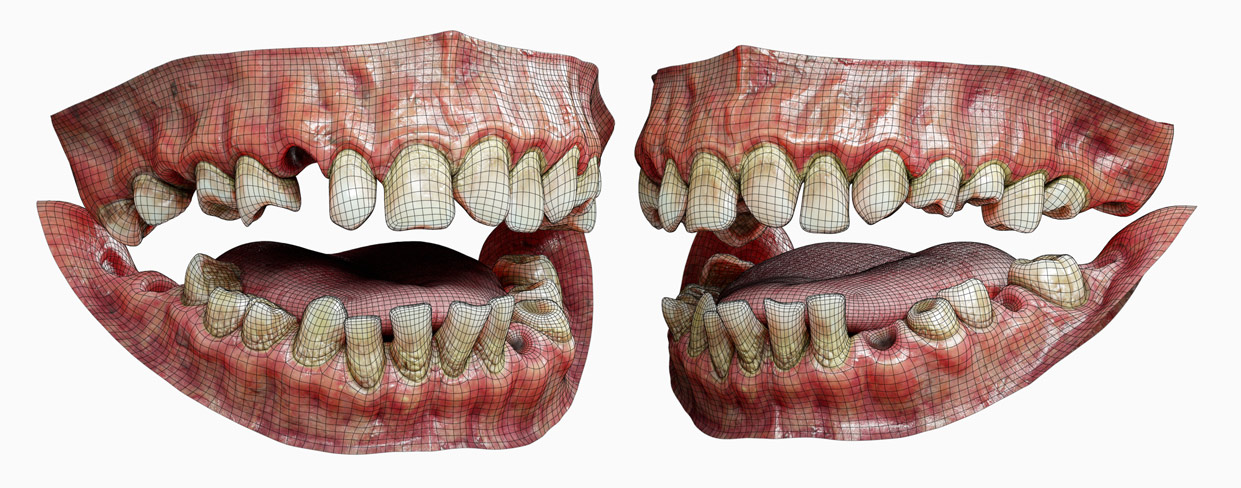 Realistic 3D Teeth with - Includes Blender, Marmoset, and ZTL Files