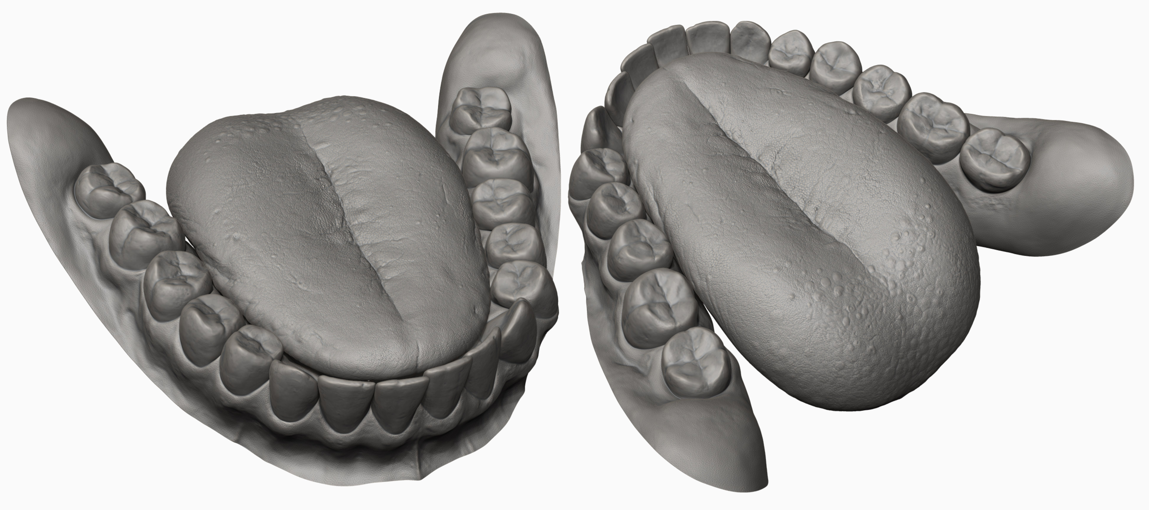 Realistic 3D Clean Straight Teeth Model - Includes Blender, Marmoset ...