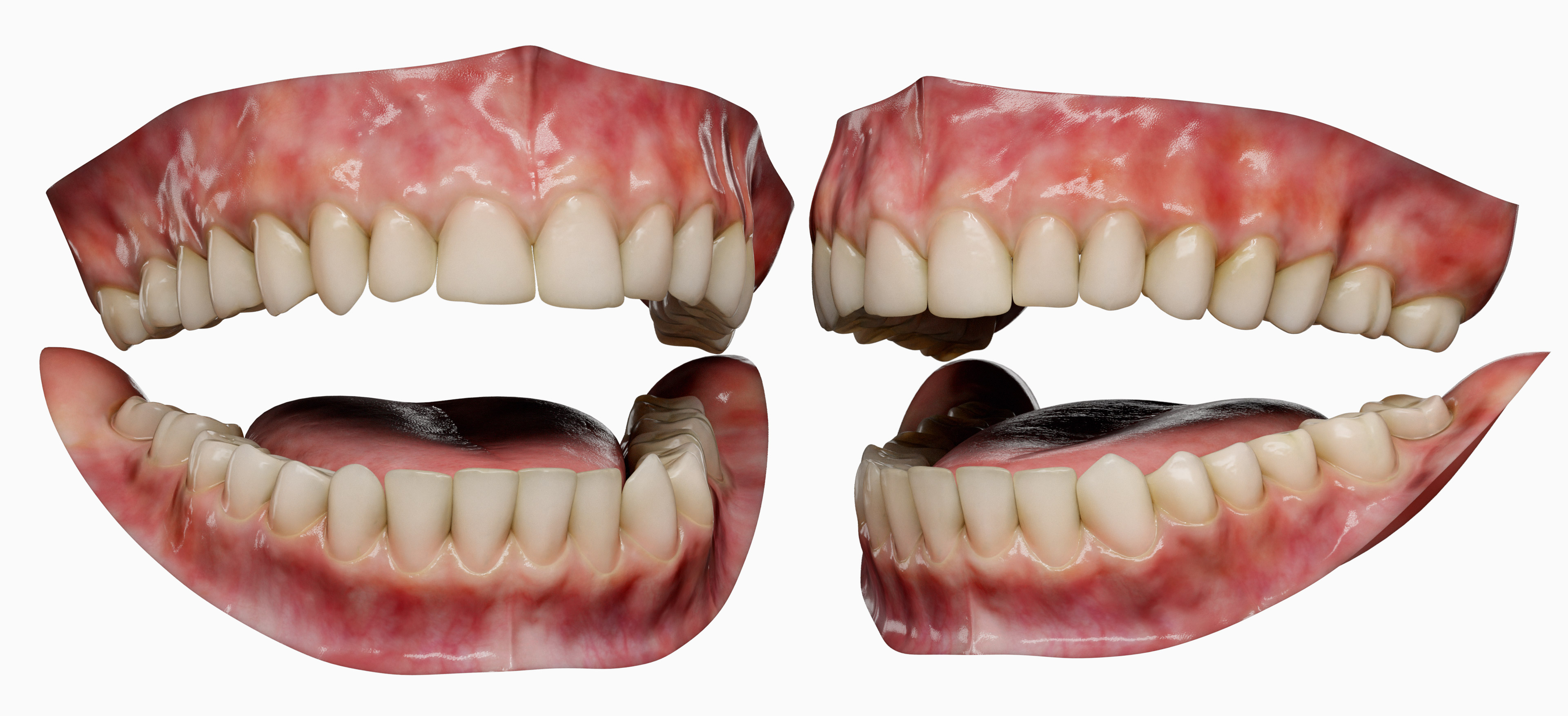 Realistic 3D Clean Straight Teeth Model - Includes Blender, Marmoset ...