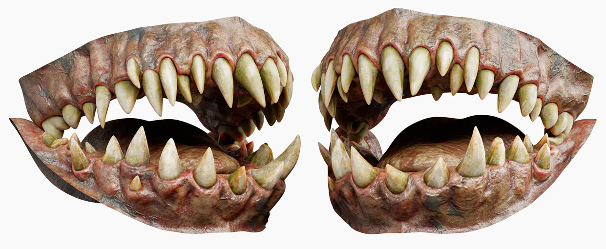 Realistic 3D Teeth with - Includes Blender, Marmoset, and ZTL Files