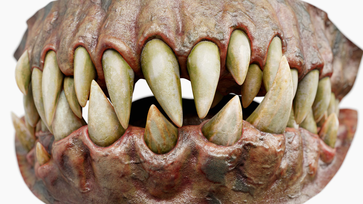 Realistic 3D Teeth with - Includes Blender, Marmoset, and ZTL Files