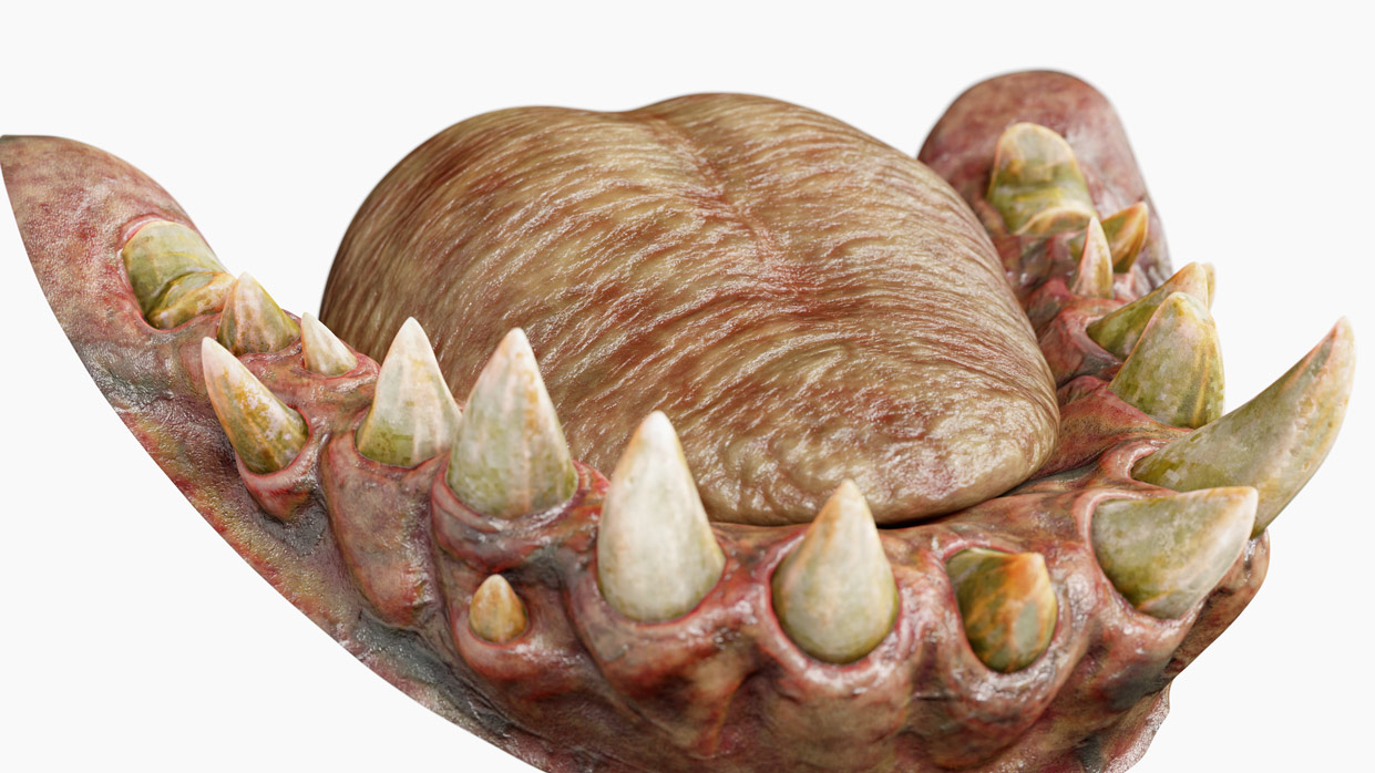 Realistic 3D Sharp Monster Teeth Model - Includes Blender, Marmoset ...