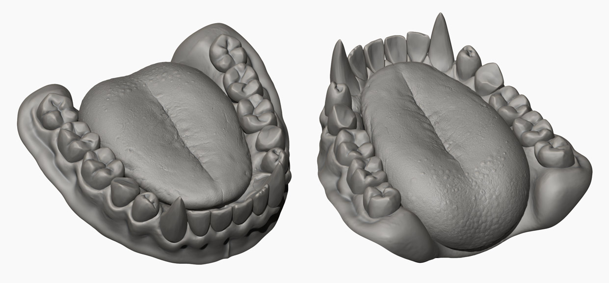 Realistic 3D Vampire Teeth Model - Includes Blender, Marmoset, and ZTL ...