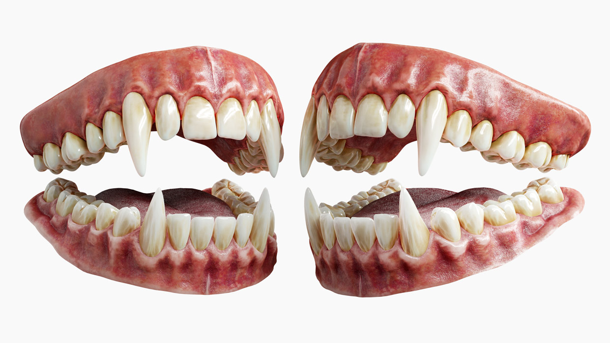 Realistic 3D Vampire Teeth Model - Includes Blender, Marmoset, and ZTL ...