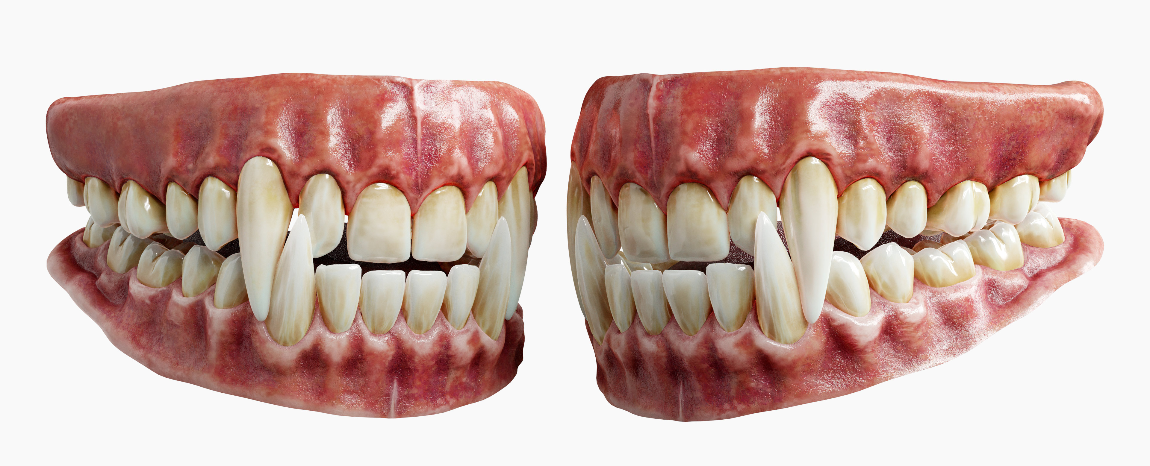 Realistic 3D Vampire Teeth Model - Includes Blender, Marmoset, and ZTL ...