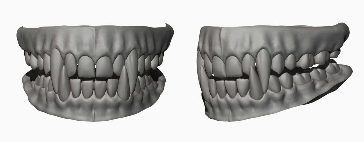 Realistic 3D Teeth with - Includes Blender, Marmoset, and ZTL Files