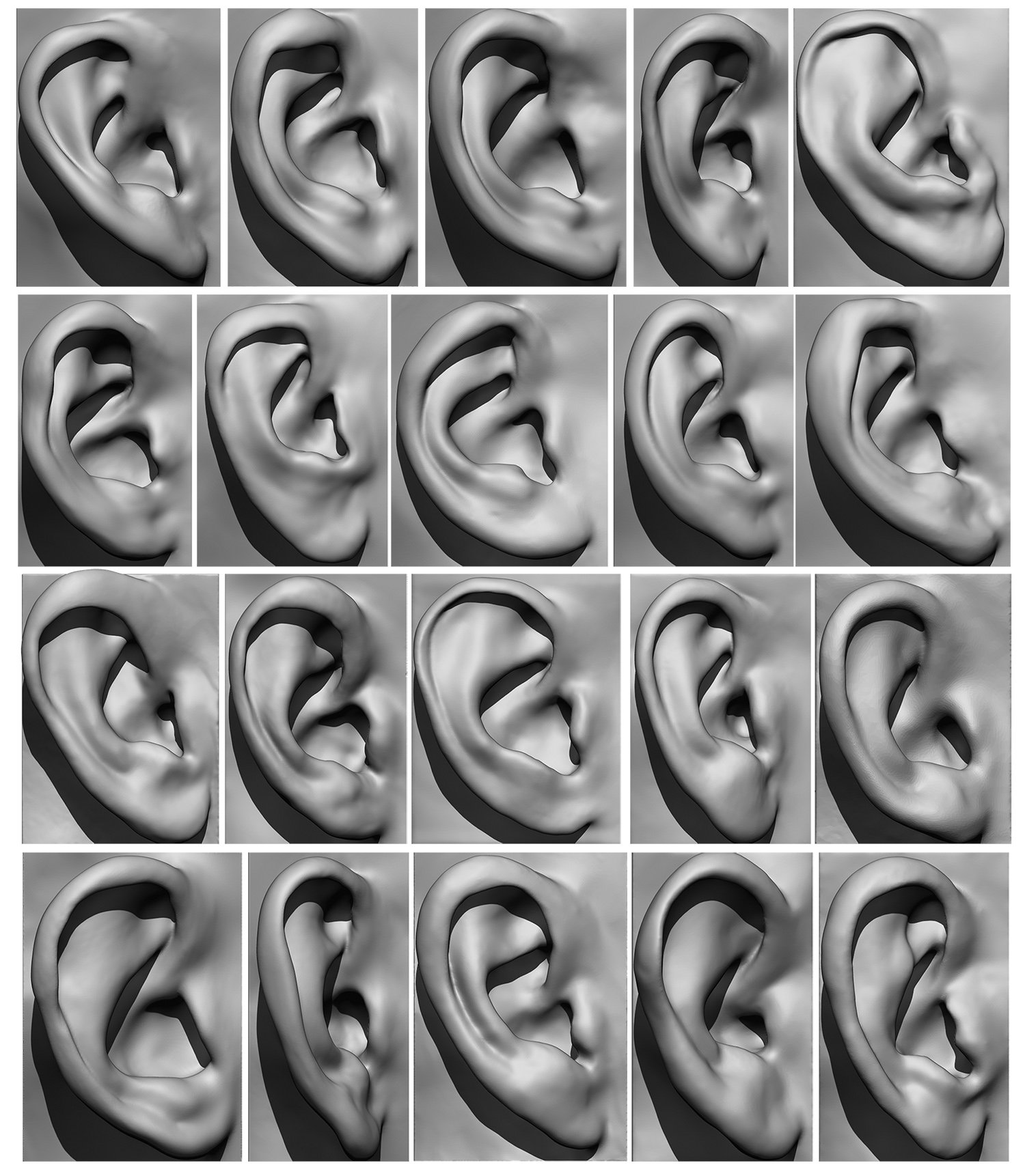 20 x Ear Scan Bundle