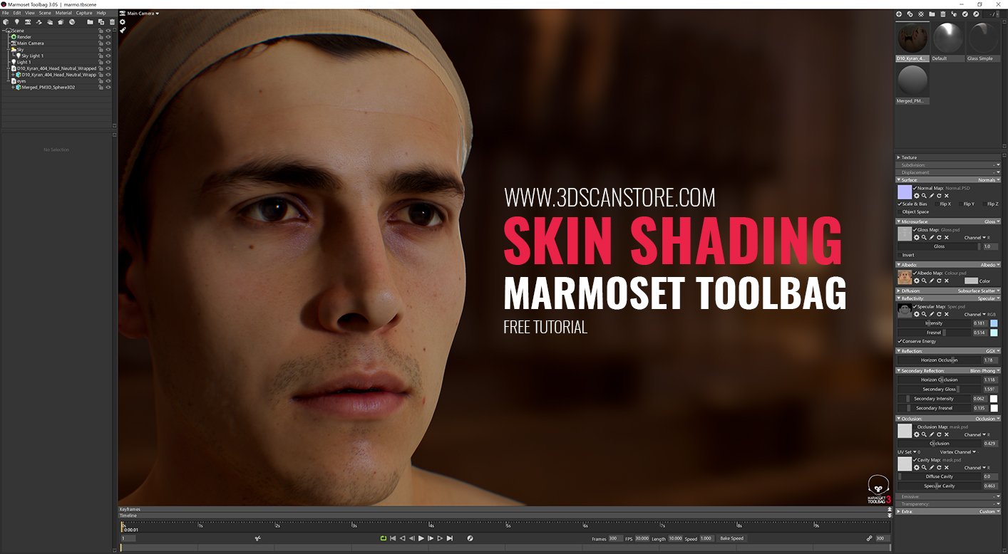 3D Scan Store - Marmoset Toolbag Skin Shading Tutorial